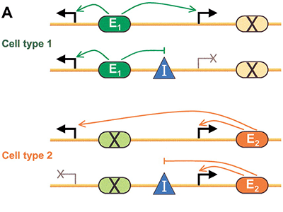 Technology Advancement & Transfer - NIDDK