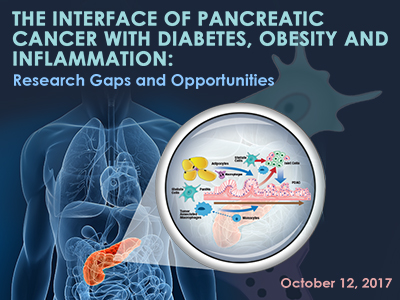 The Interface of Pancreatic Cancer With Diabetes, Obesity and ...