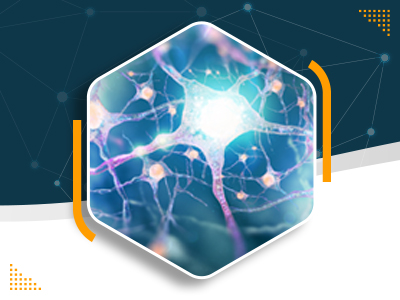 Neurourology: Bridging Basic and Clinical Science to Understand ...