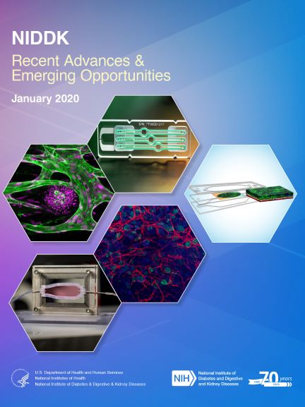 NIDDK Recent Advances & Emerging Opportunities | NIDDK