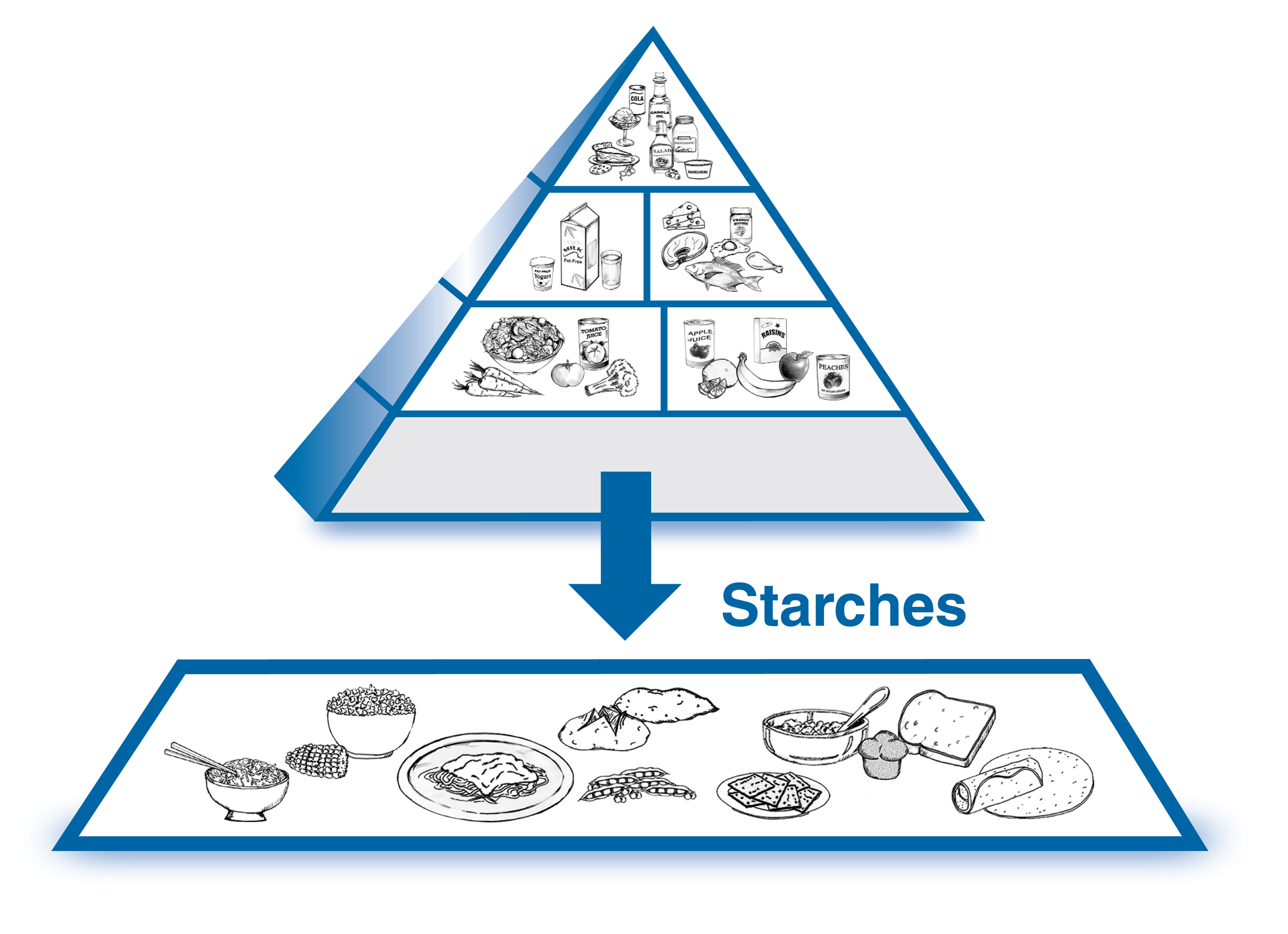 Enlarged drawing of the starches group below a drawing of the diabetes ...