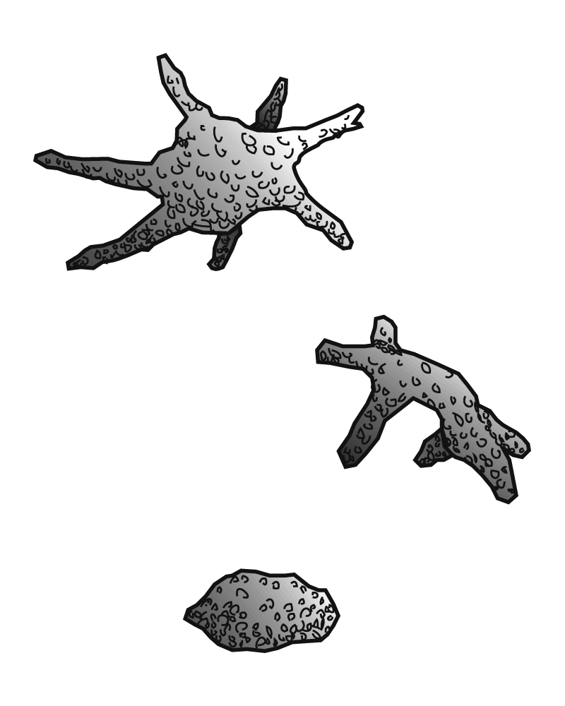 Three kidney stones of various shapes | Media Asset | NIDDK